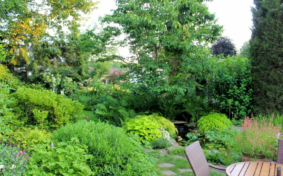 Lily Time in Luana’s Garden - Fine Gardening