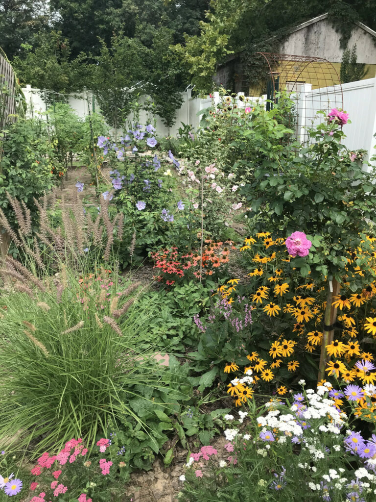 Naturalistic Garden in New Jersey - Fine Gardening