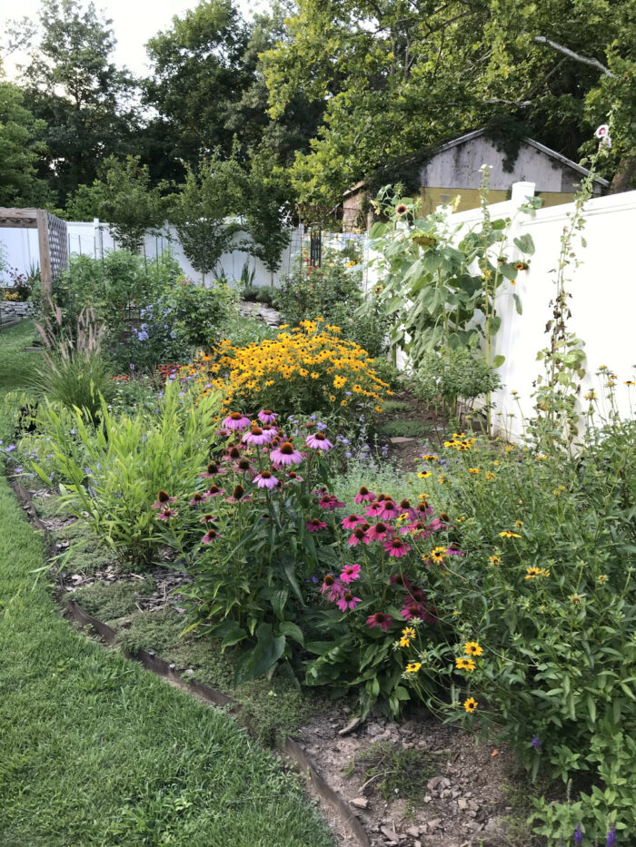 Naturalistic Garden in New Jersey - Fine Gardening