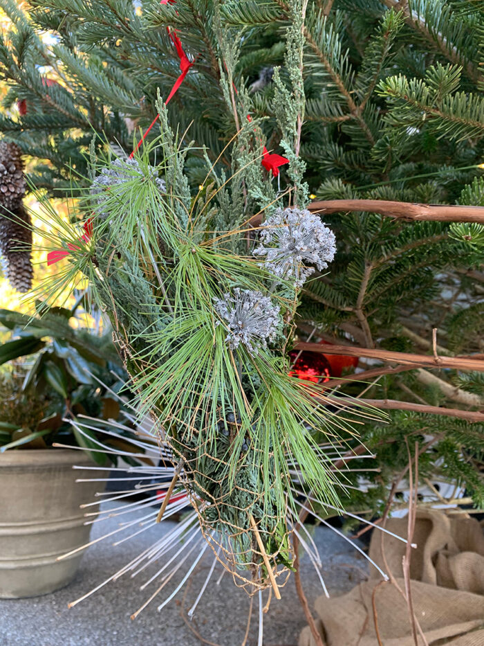 Create Winter Tussie-Mussies With Cuttings From Your Garden - Fine ...