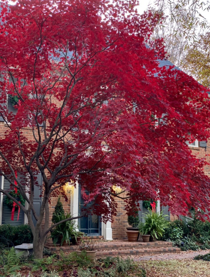 Fall in Renee’s Garden - Fine Gardening
