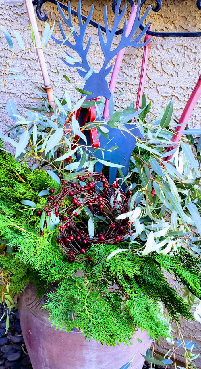 Winter in Arizona - Fine Gardening