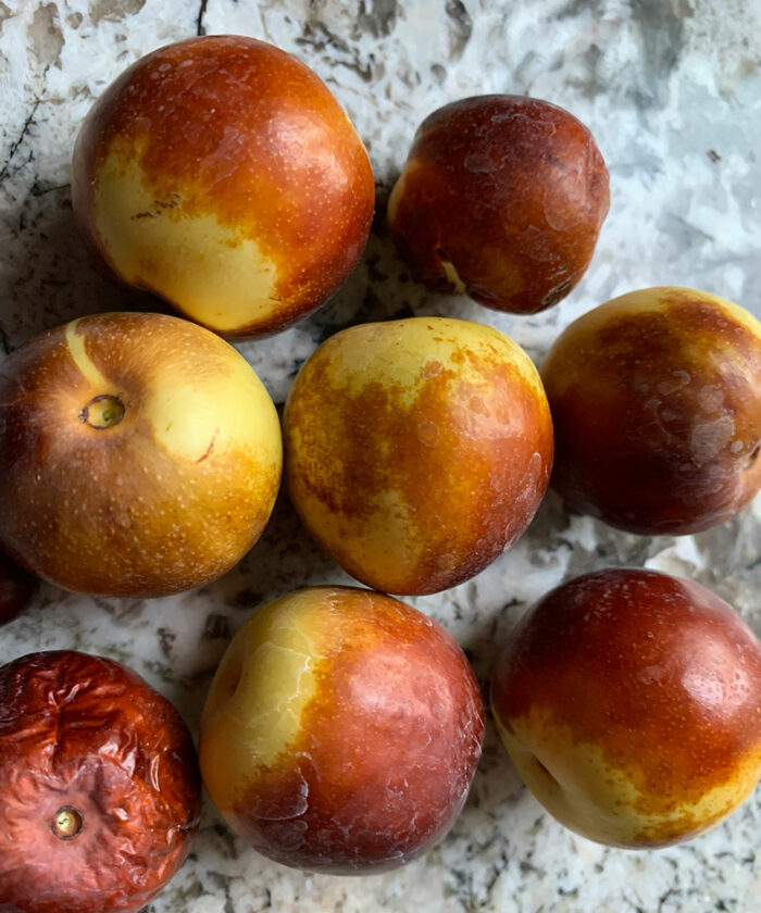 The Best Fruit Trees for Southern California - Fine Gardening