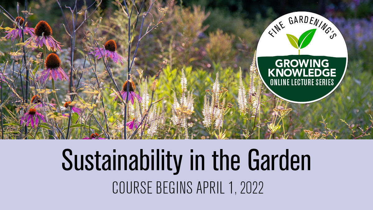 Growing Knowledge: Lecture Series - Fine Gardening