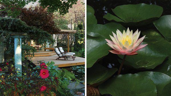 Transforming a Barren Backyard - FineGardening