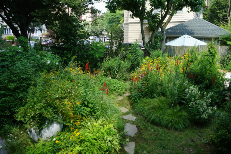 Native Landscape in the City - Fine Gardening