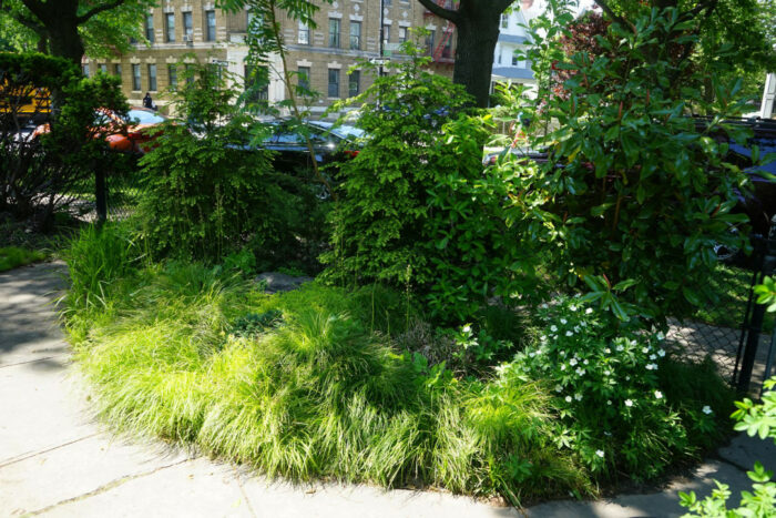 Native Landscape in the City - Fine Gardening