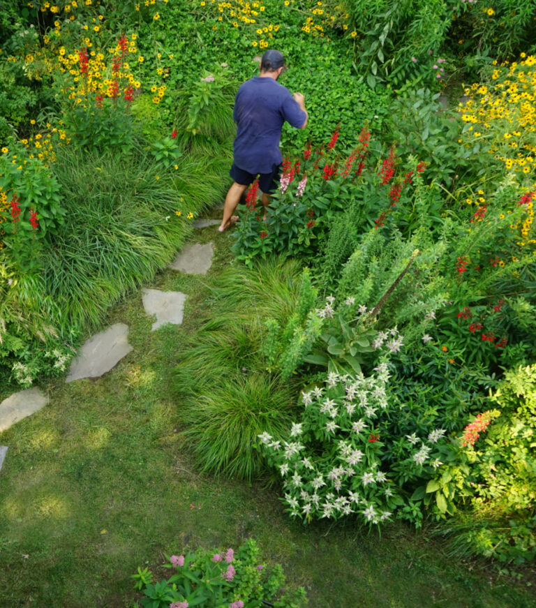 Native Landscape in the City - Fine Gardening