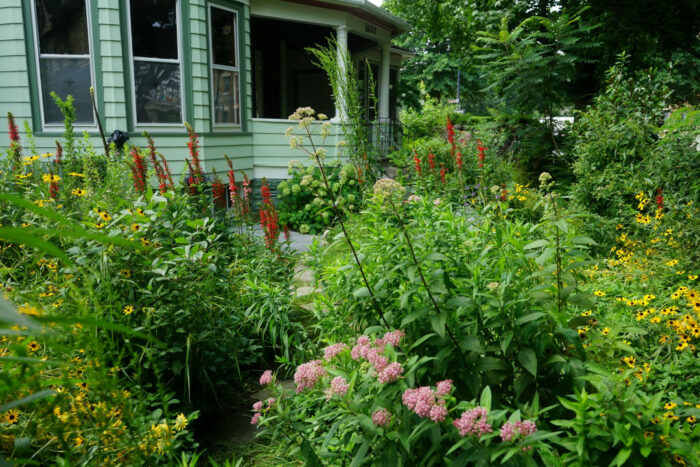 Native Landscape in the City - Fine Gardening