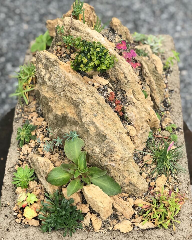 Container Crevice Garden - Fine Gardening