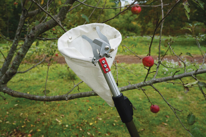 New Garden Tools That Make Maintenance Easier on Your Body - Fine Gardening