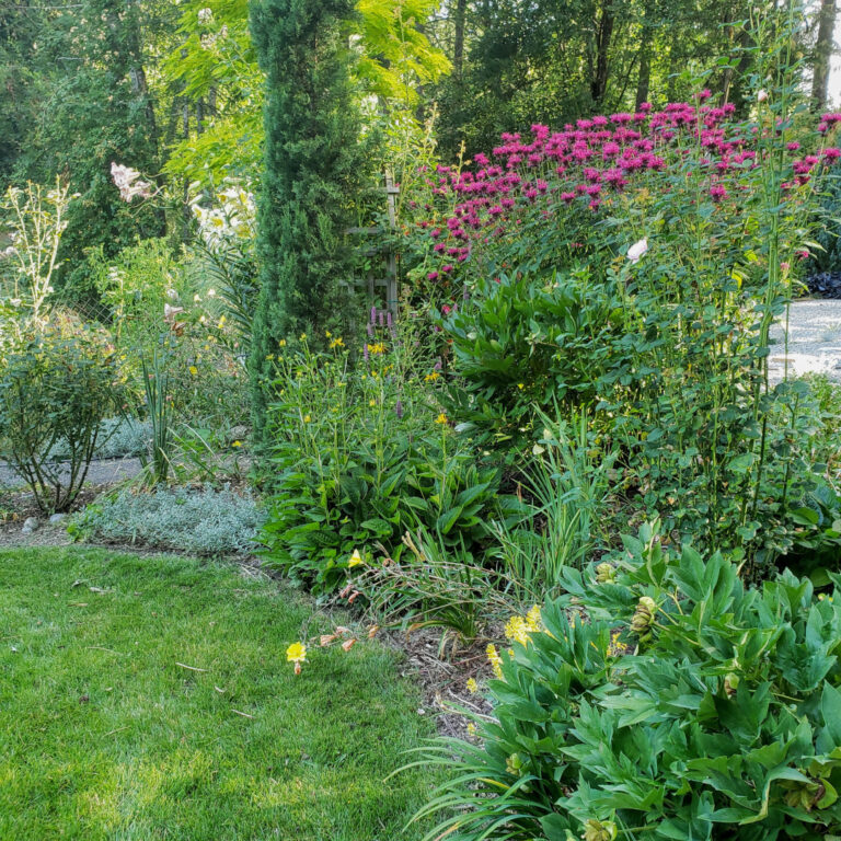 Looking Back at Katie’s Garden - Fine Gardening