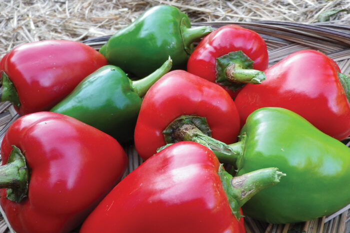 Introducing the Best New Heirloom Vegetables - Fine Gardening