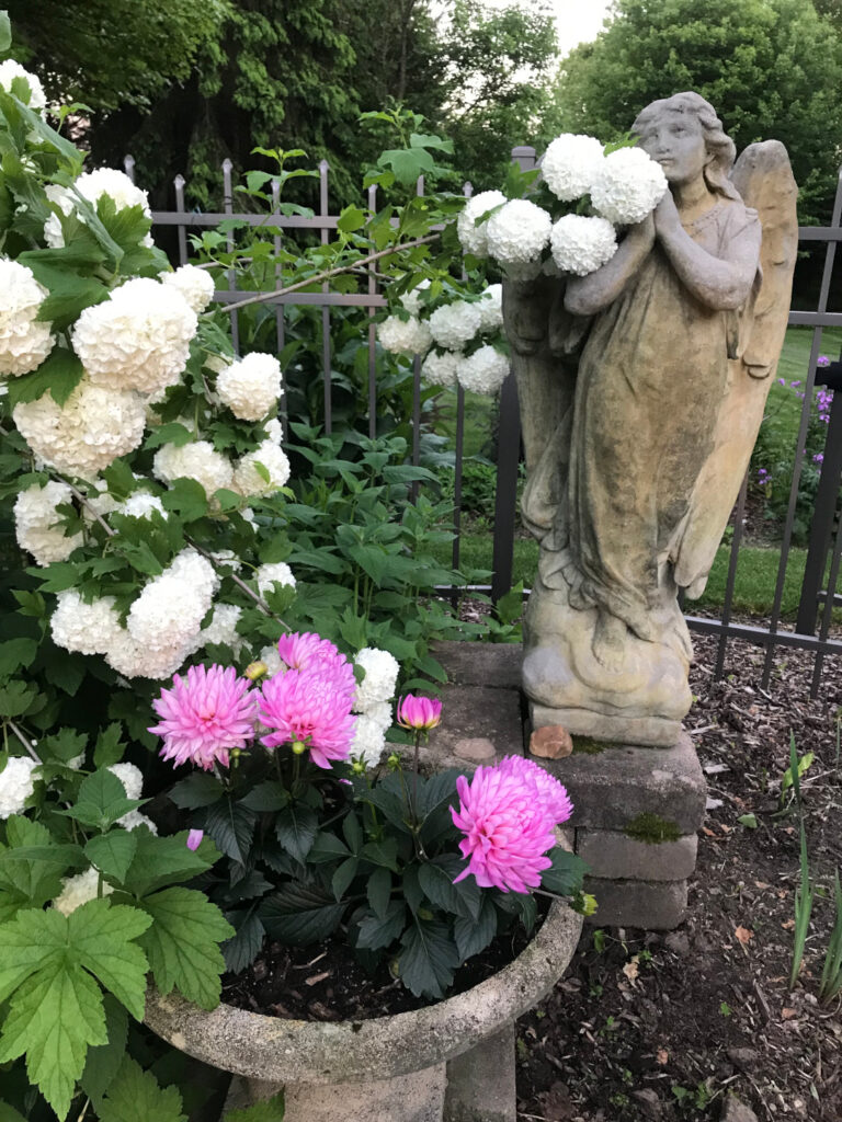 Heidi’s Poolside Garden - Fine Gardening