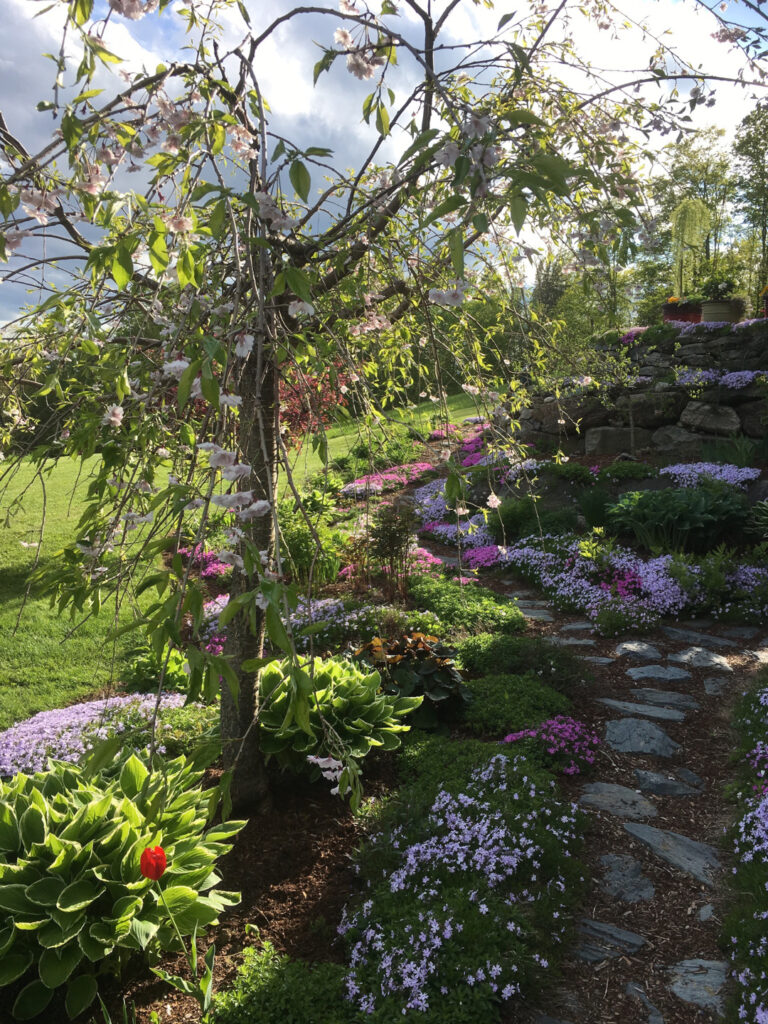 Erin’s New Hampshire Garden - Fine Gardening