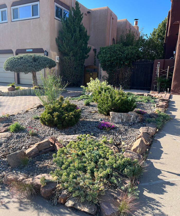 How to Create a Garden With Curb Appeal in the Southwest, Part 2 ...