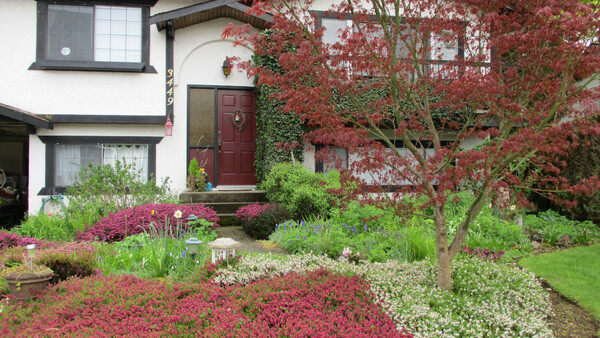 ‘Prairie Fire’ red switchgrass - FineGardening
