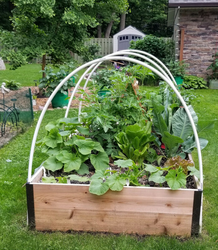 Deb’s Garden in Holland, Michigan - Fine Gardening