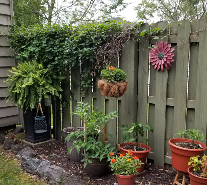 Deb’s Garden in Holland, Michigan - Fine Gardening