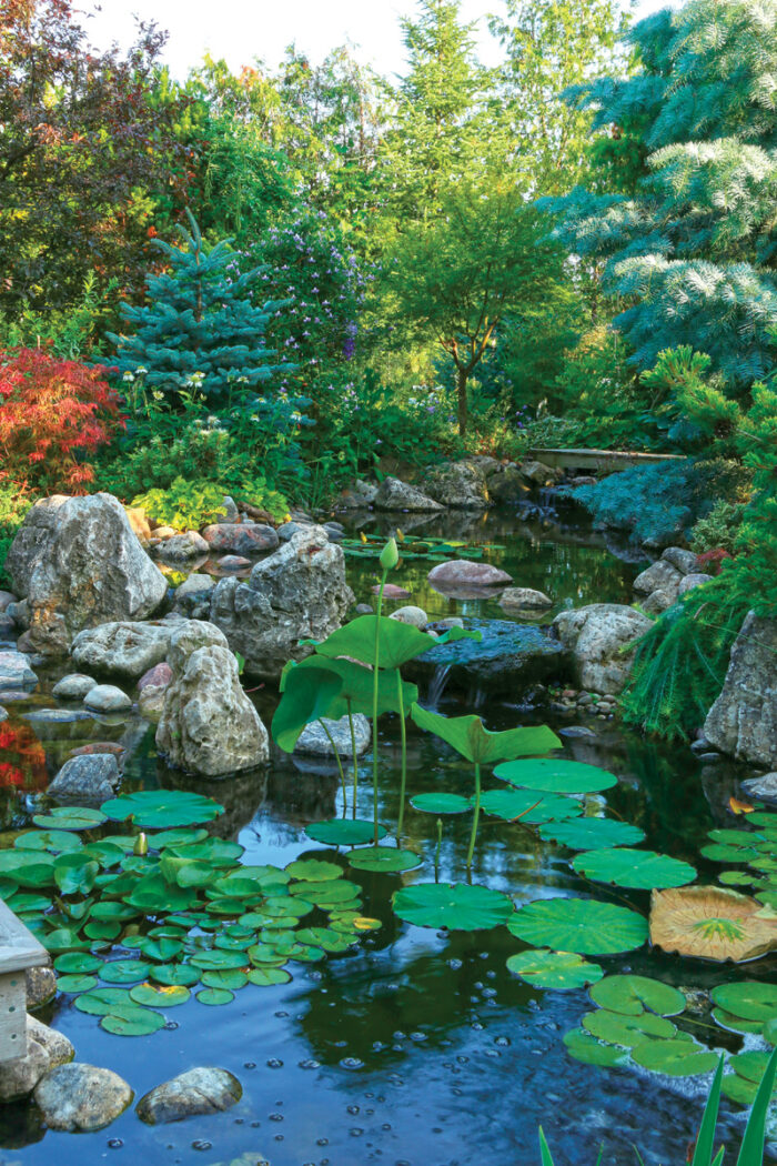 Engineering an Artful Garden - An Interview with Chen Choo - Fine Gardening