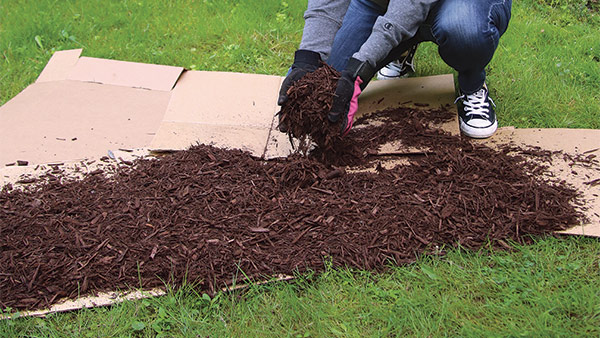 How to Build Soil and Suppress Weeds With Sheet Mulching - Fine Gardening