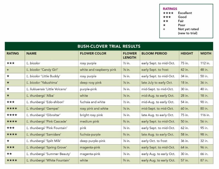 Best of the Bush Clovers: Trial Plant Results - Fine Gardening