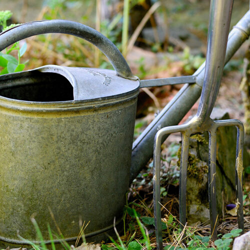 6 Pro Gardening Tools That Home Gardeners Need Right Now - Fine Gardening
