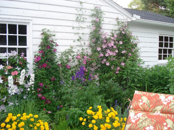 Katie’s Garden Redesign - Fine Gardening