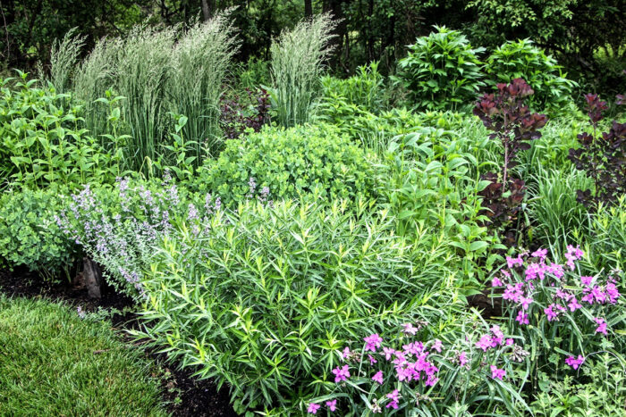 How to Design a Meadow Garden With Multiseason Interest - Fine Gardening