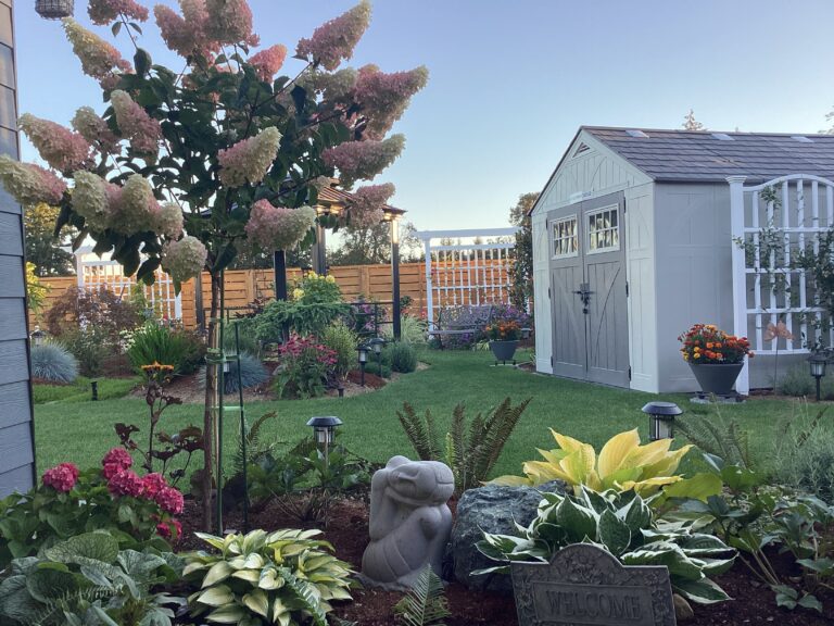 A Year Into a New Garden Space - Fine Gardening