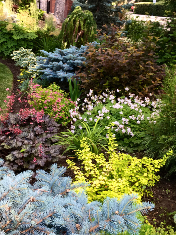 Linda’s Calgary Garden - Fine Gardening