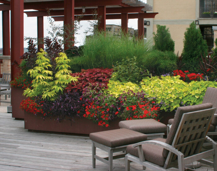 Container Designs for Seating Areas - Fine Gardening
