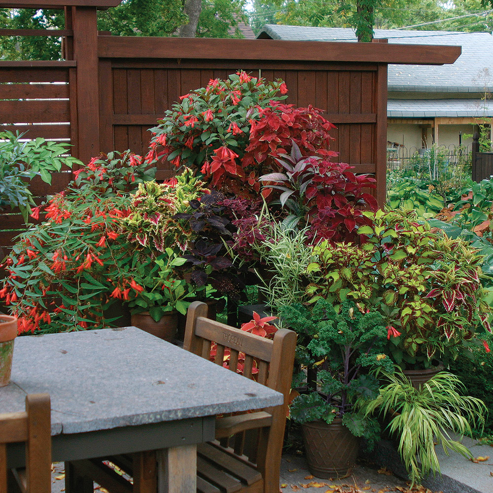 Container Designs for Seating Areas - Fine Gardening