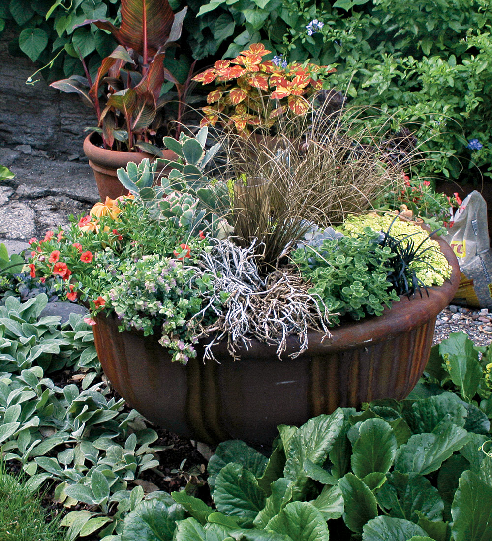 Containers for Borders, Paths, and Edges - Fine Gardening