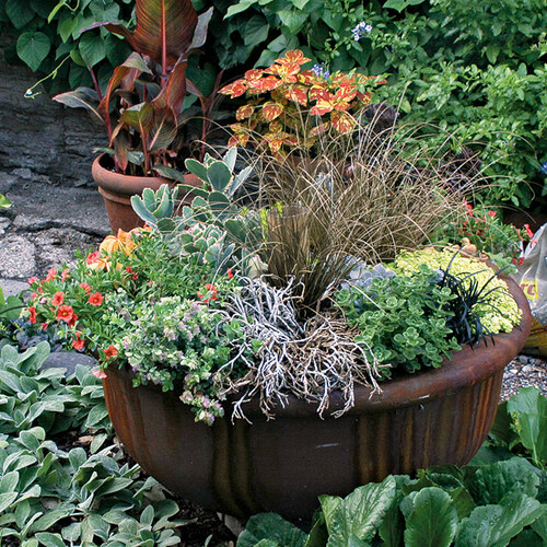 Containers for Borders, Paths, and Edges - Fine Gardening