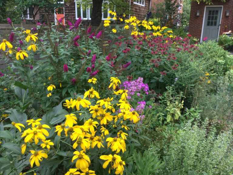 Return to Zita’s Garden - Fine Gardening