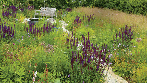 3 Steps to Get a Garden That Fills In Fast - Fine Gardening