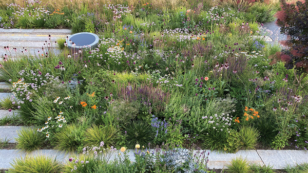 Tips for Building Plant Communities - Fine Gardening