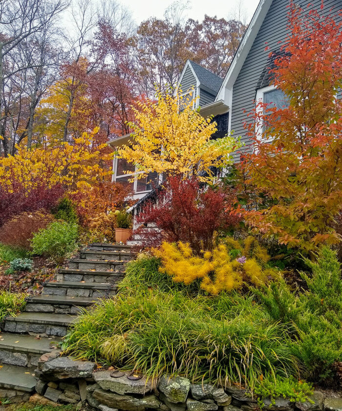 Plant These Trees for the Best Fall Color - Fine Gardening