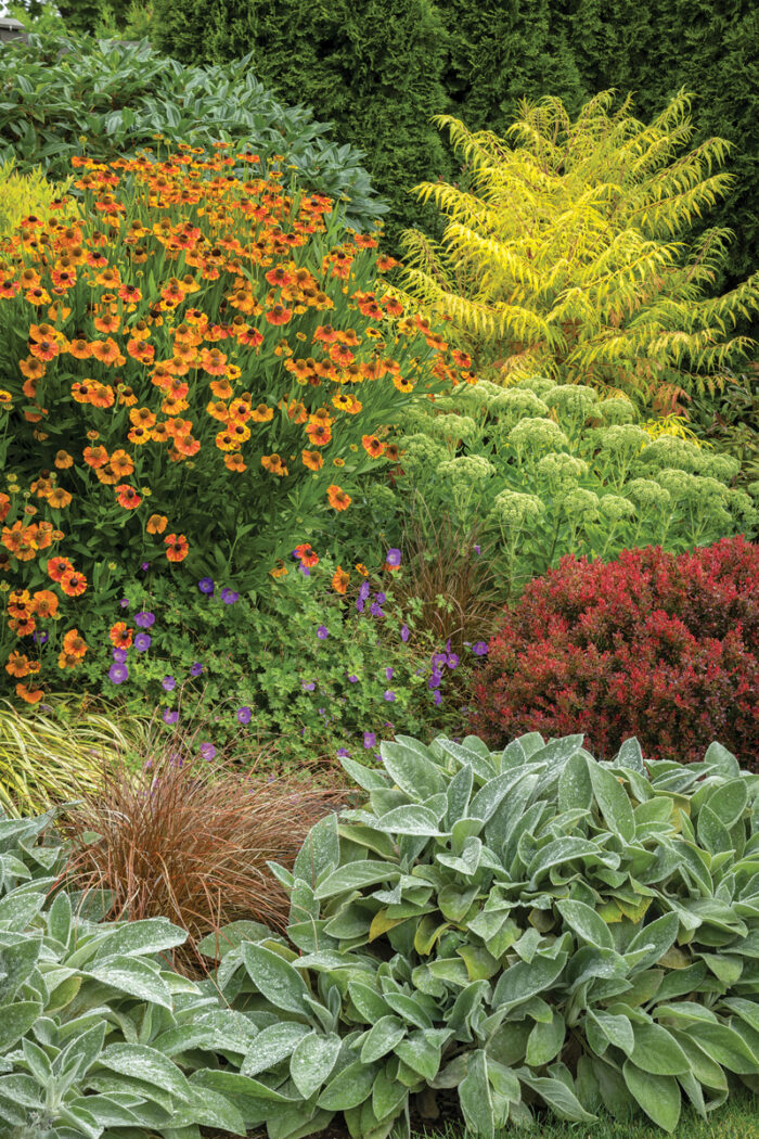 A Gorgeous Garden Design to Border a Fence - Fine Gardening
