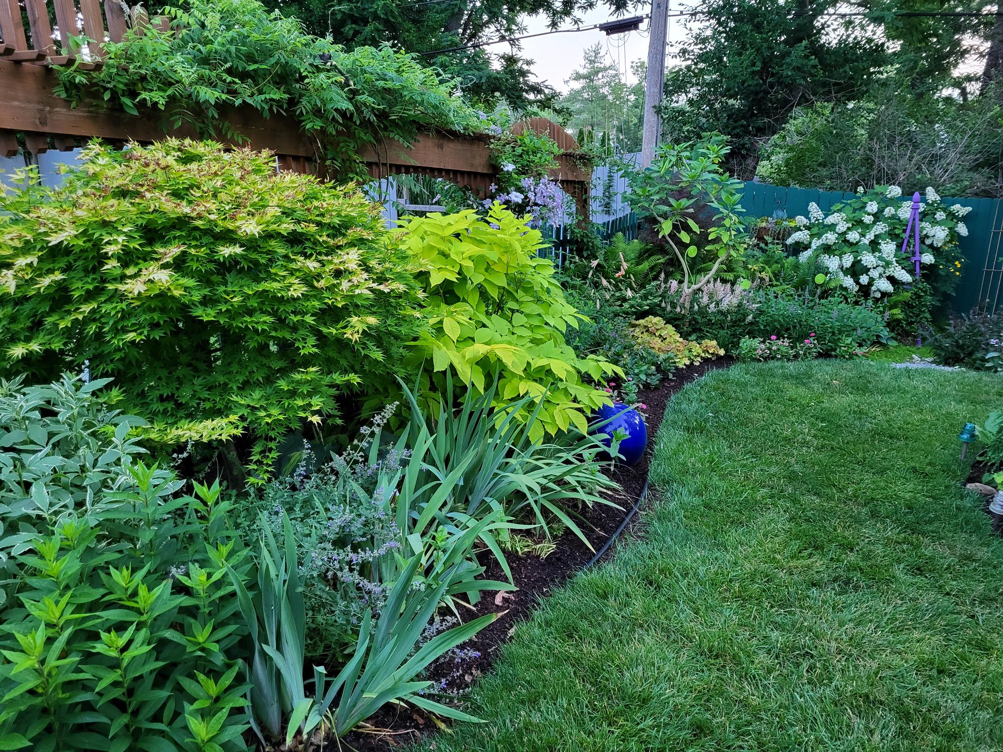 Phillip’s Missouri Garden - Fine Gardening