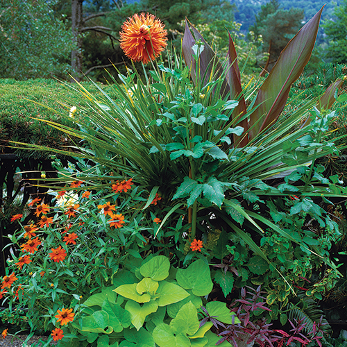 Planting a Pot with Lots of Plants - Fine Gardening