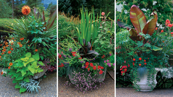 Planting a Pot with Lots of Plants - Fine Gardening