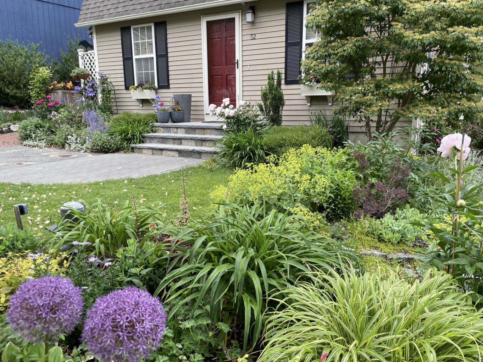 Gardening With Groundhogs in Massachusetts - Fine Gardening