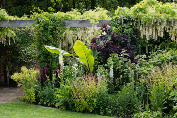 Summer in a UK Garden - Fine Gardening