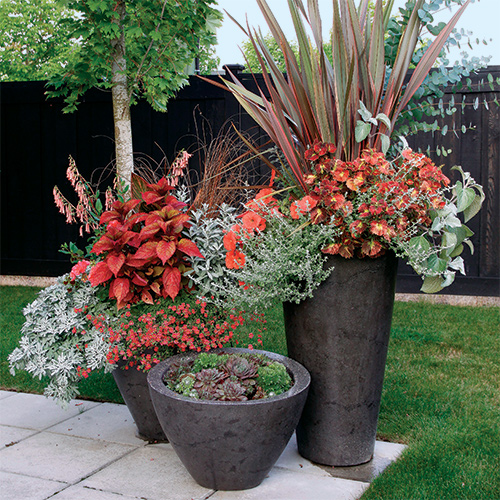 Great Designs for Container Groupings - Fine Gardening