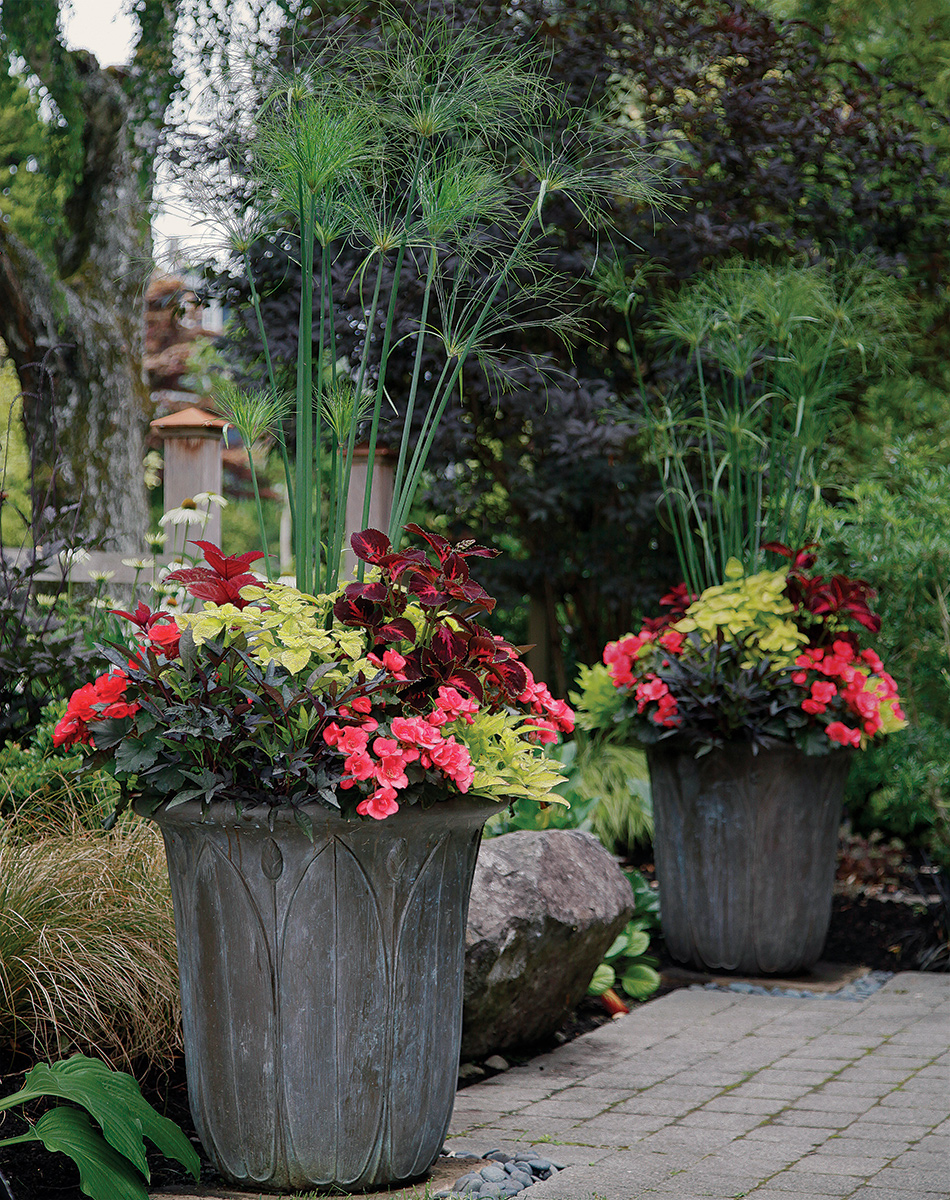 Great Designs for Container Groupings - Fine Gardening