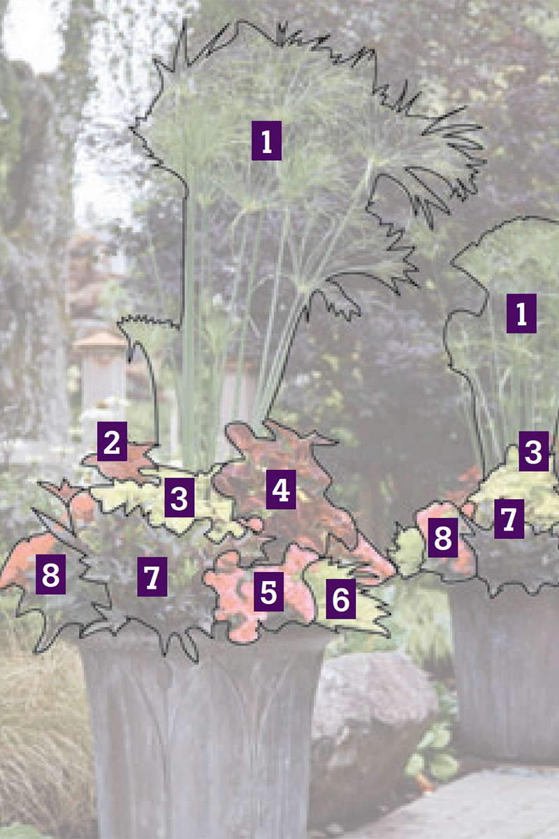 Great Designs for Container Groupings - Fine Gardening
