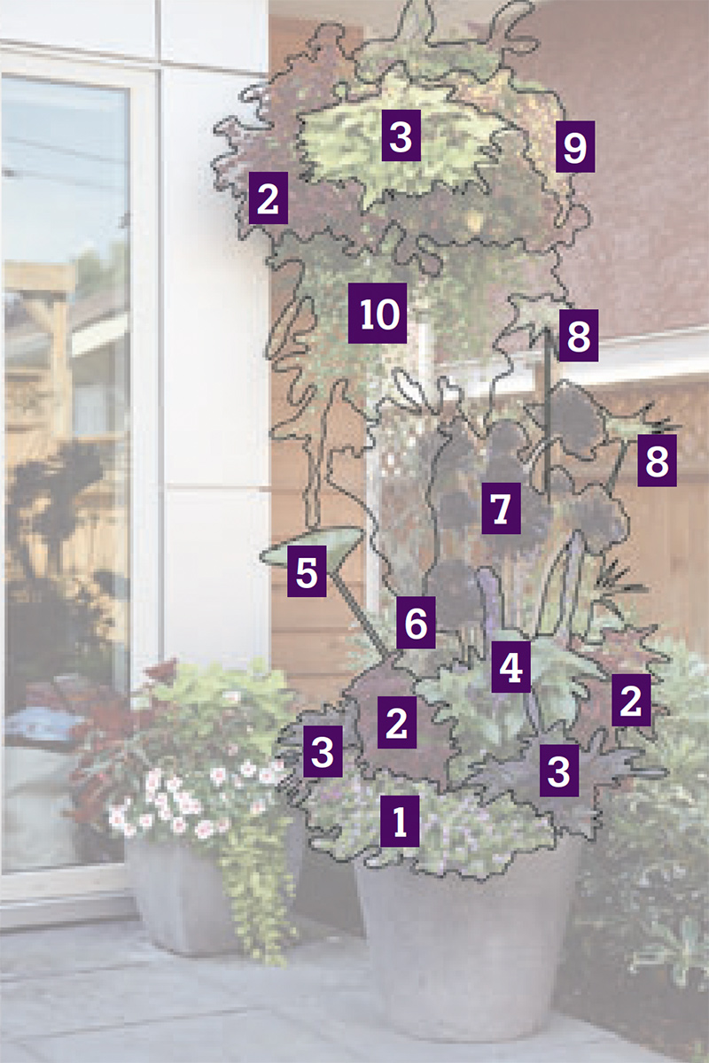 Great Designs for Container Groupings - Fine Gardening