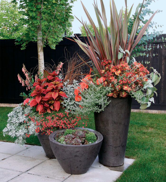 Great Designs for Container Groupings - Fine Gardening